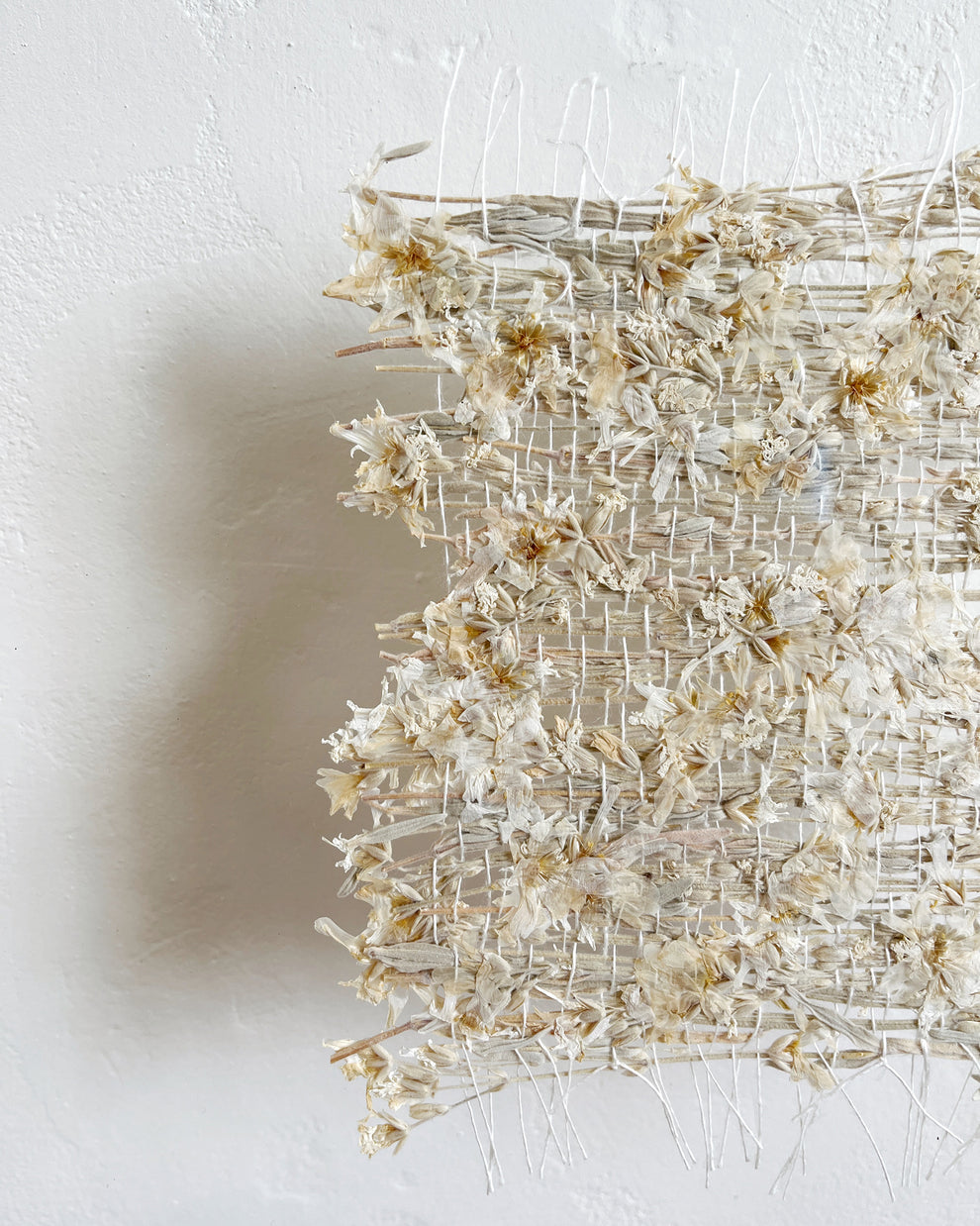 Hønsetarm. Framed, dried weaving. – Christina Christensen